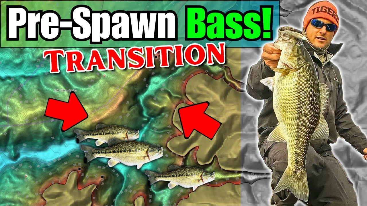 How to Follow the Spotted Bass Pre-Spawn Transition - YouTube