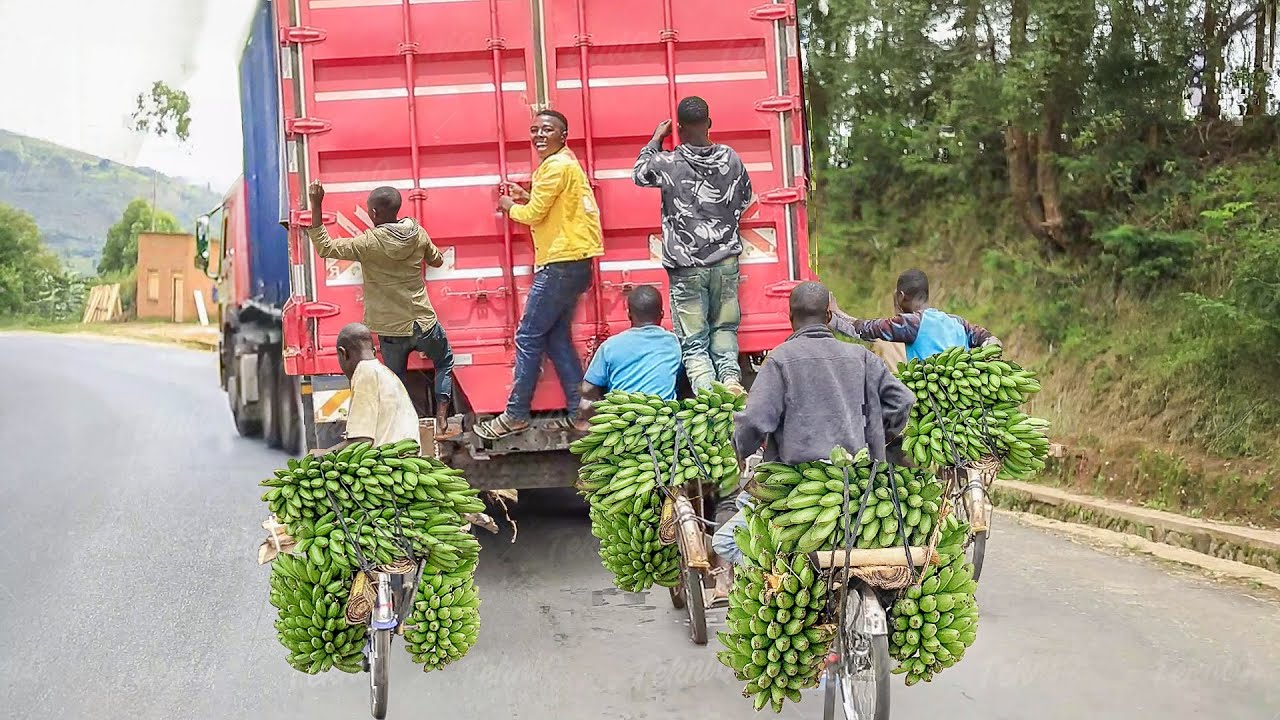 Africa’s Risky Solution to Transport Food Hooked to a Truck - YouTube