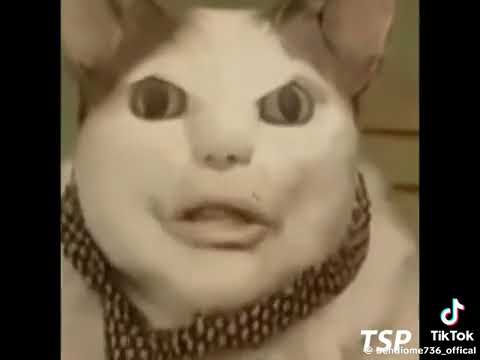 BU KORKTUN MU KORK TABİ