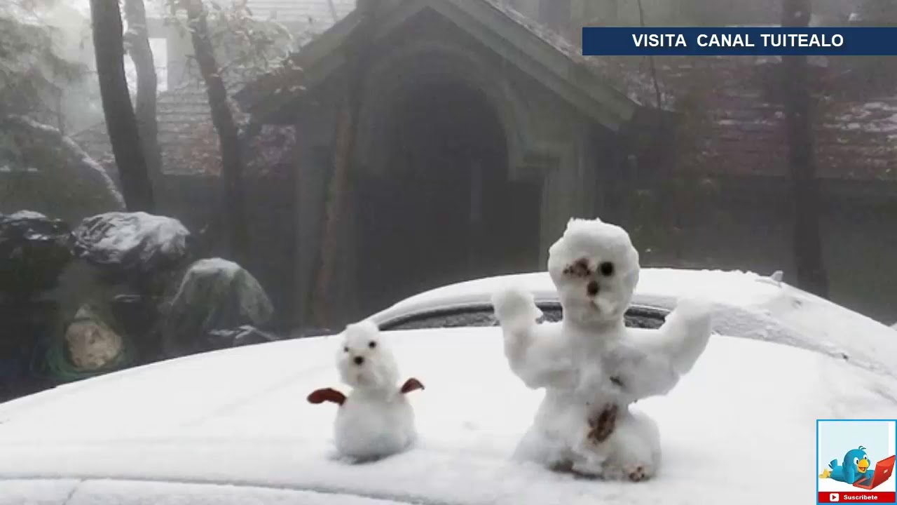 Registran caída de nieve en la Sierra de Chipinque Nuevo León - YouTube