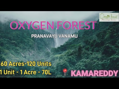 OXYGEN FOREST | PRANAVAYU VANAMU | HOLISTIC LIFE | KAMAREDDY | FOREST ...