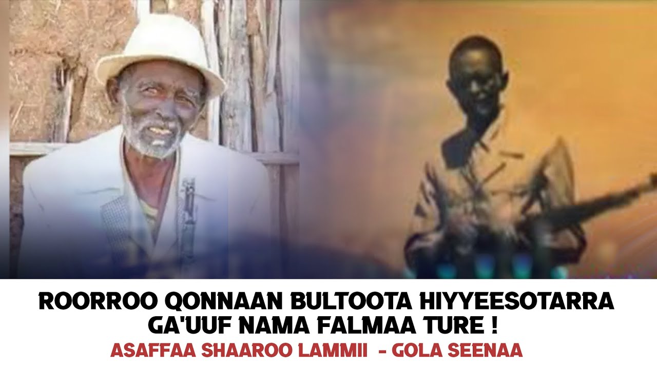 Roorroo Qonnaan bultoota hiyyeesotarra ga'uuf nama falmaa ture ...