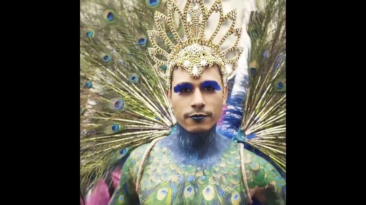 Men Peacock Costume