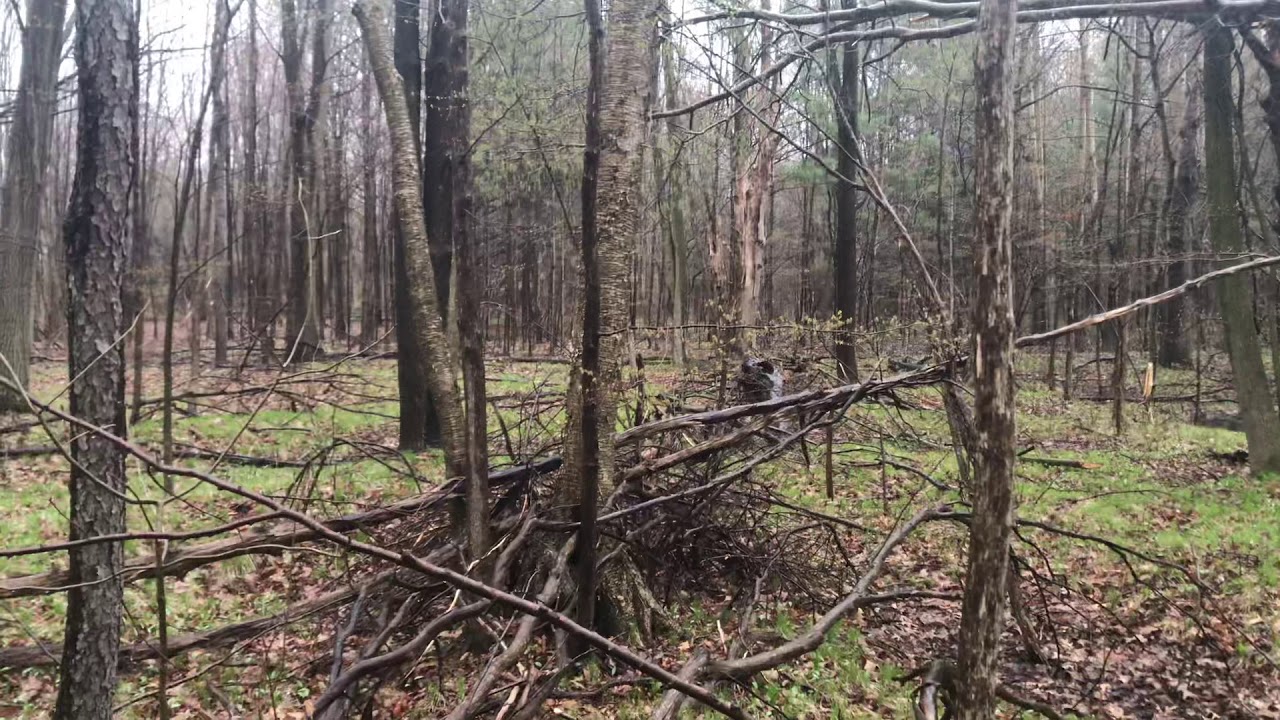 Rainy Days, Late April, Michigan - YouTube