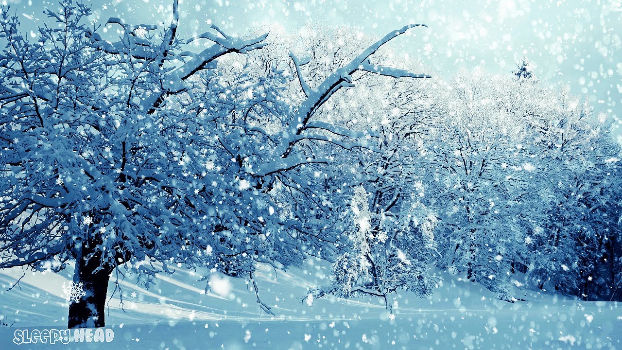 HEAVY SNOW Storm Sounds (BLACK SCREEN) Blizzard, Wind & Snow Sounds for ...