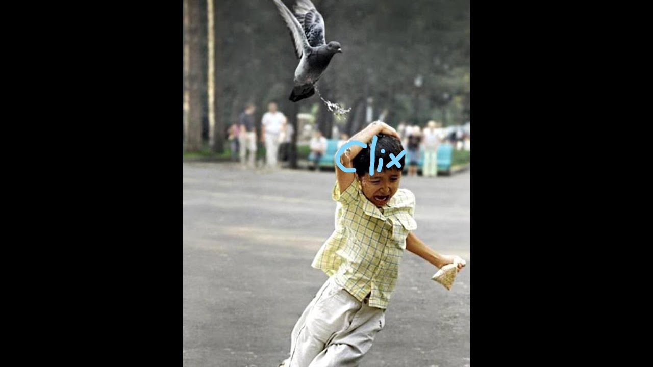 Fornite Duo fill cup FORTNITE LIVE - YouTube