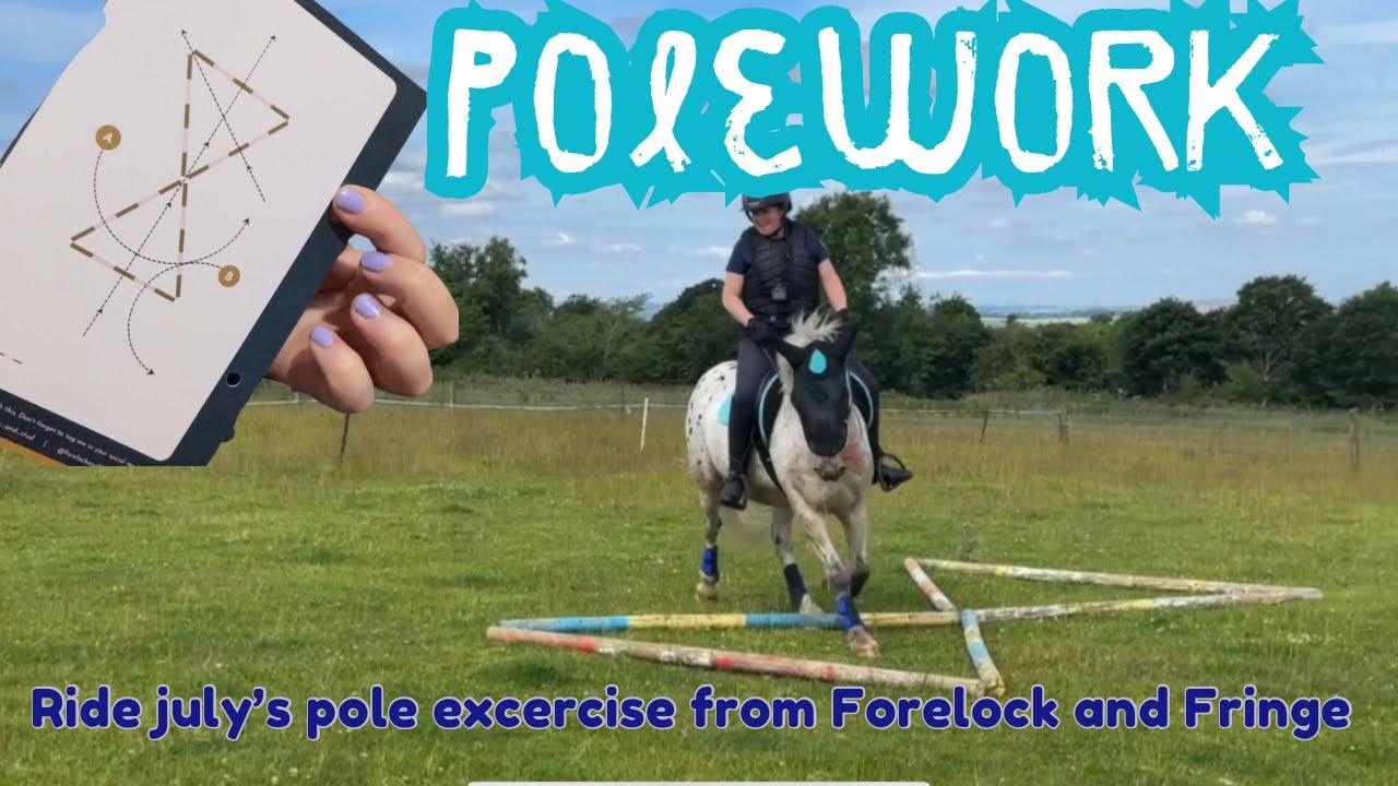 Come and ride the July Forelock and Fringe Polework excercise with me ...