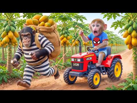 Monkey Nana Drives a Tractor to Harvest Papayas and Plans a Trap to Catch the Farm Thief!