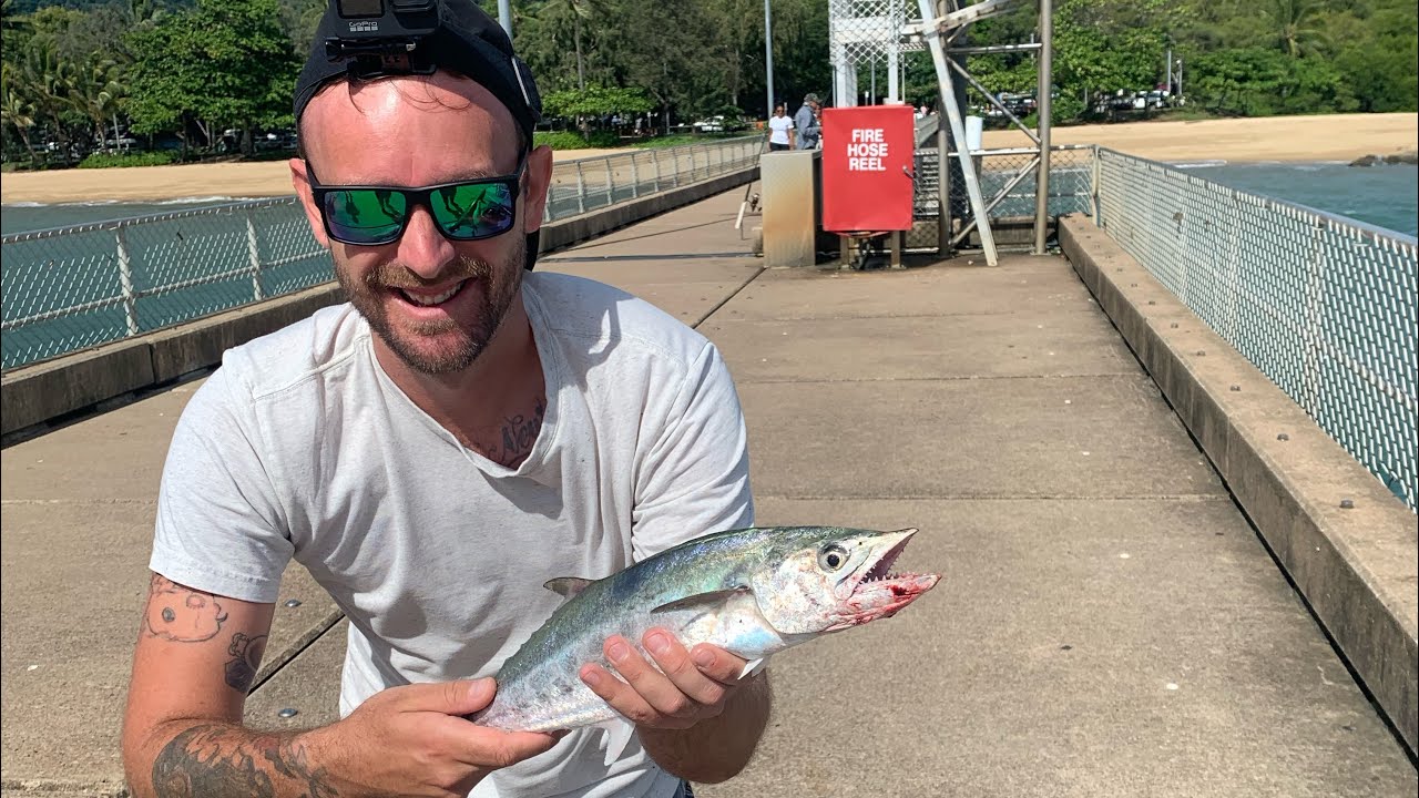 school mackerel FAR NORTH QLD - YouTube