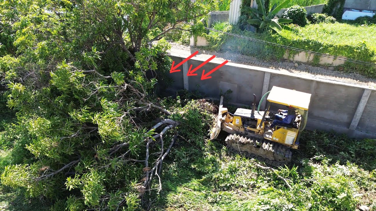 The Ultimate Easy Way To Clearing Land Using Bulldozer KOMATSU D20P and ...