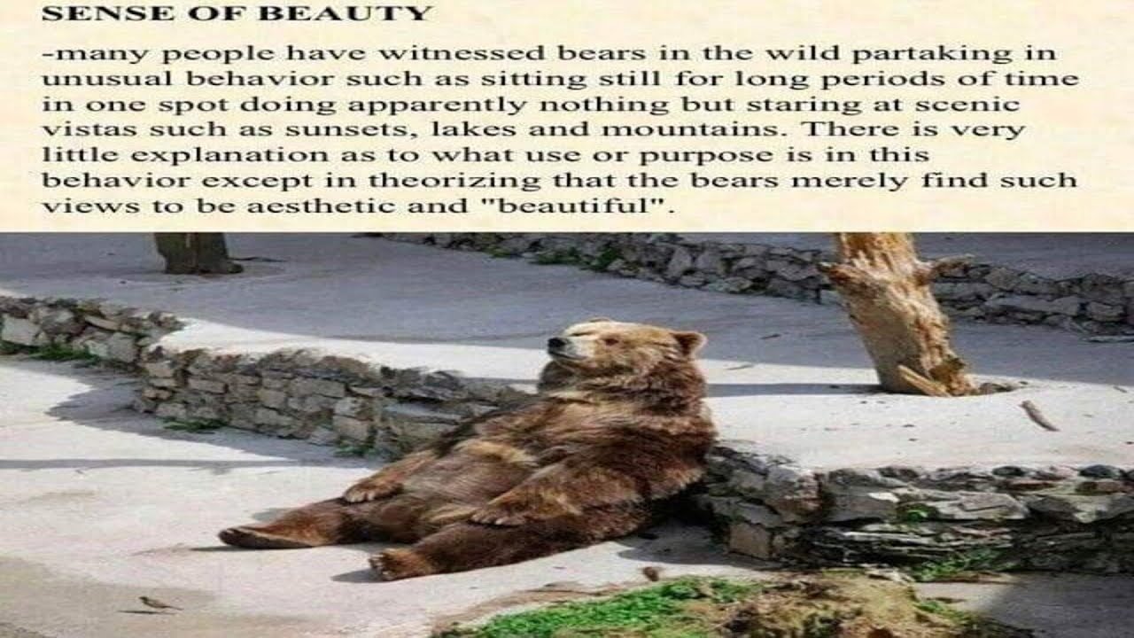 SENSE OF BEAUTY - YouTube