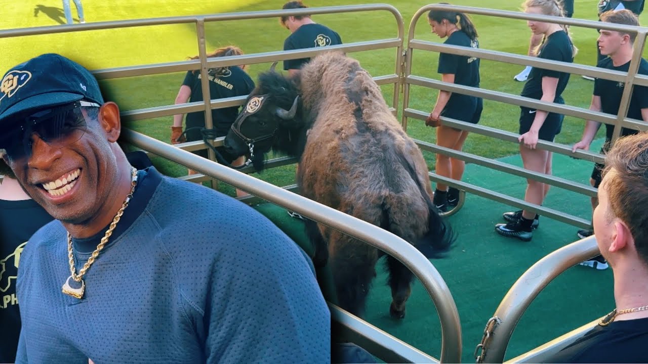 Coach Prime Meets Colorado’s Buffalo For The 1st Time. (Ralphie Behind ...
