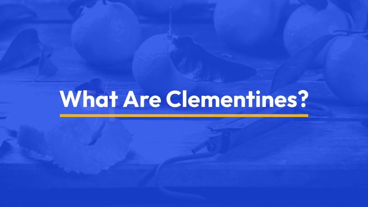 What Are Clementines? | Small Seedless Oranges - YouTube