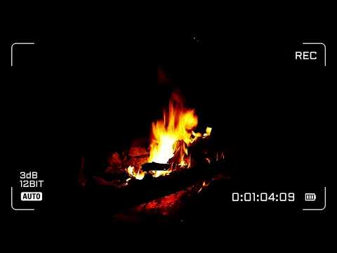 Kahrol Amerika [Ezgi]