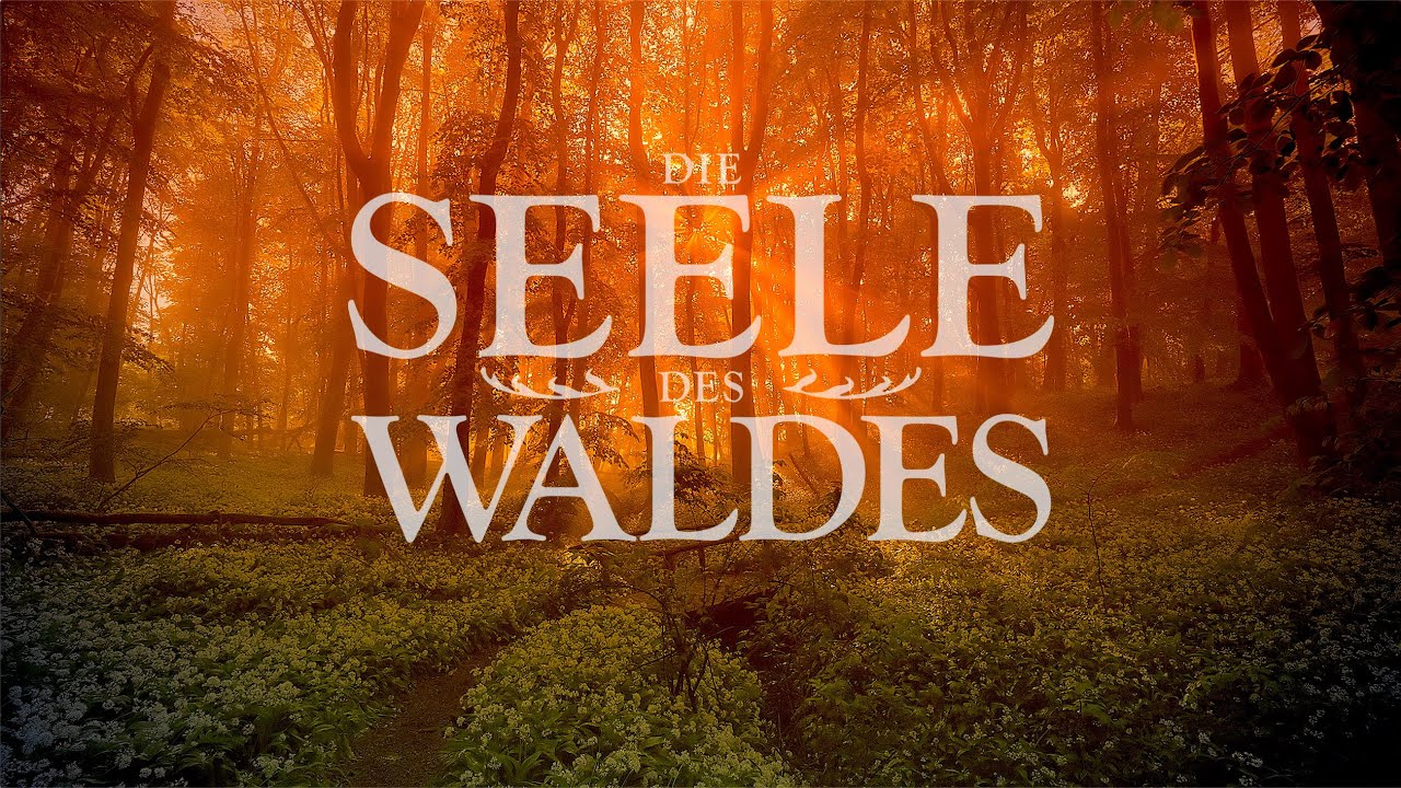 Morlenbach Mehr Als Nur Ein Name Entdecke Die Seele Des Odenwaldsfeed