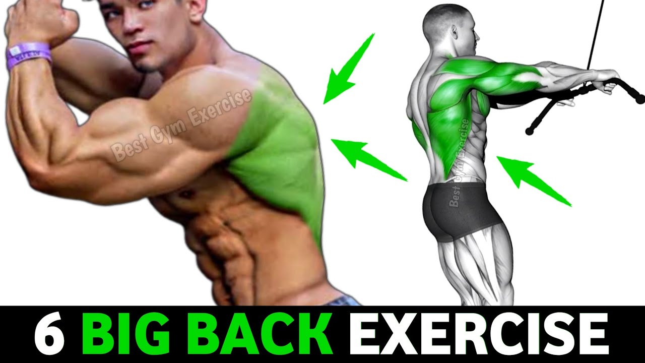 Big Back Workout At Gym ( 6 Effective Exercises ) - YouTube
