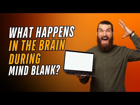 What Happens In The Brain During Mind Blank? #science #brain # ...