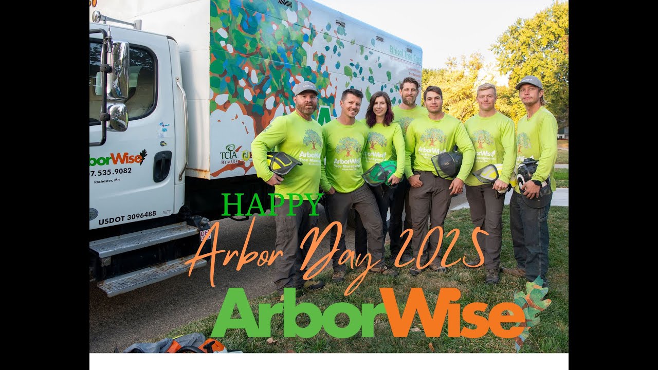 Tree Facts Friday : Episode 3-How do trees affect the weather? - YouTube