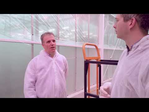 Low energy tomato growing vlogs - Episode 4: Wireless value - Data collection