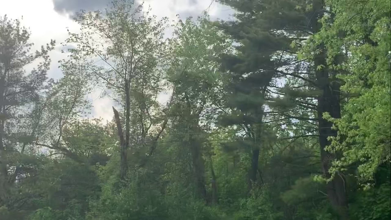 How to play baseball PRO V.S NOOB - YouTube