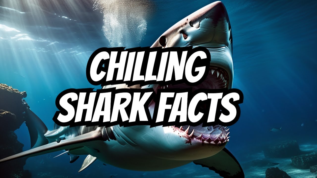 Shocking Secrets of Sharks: Unveiling the Chilling Facts - YouTube
