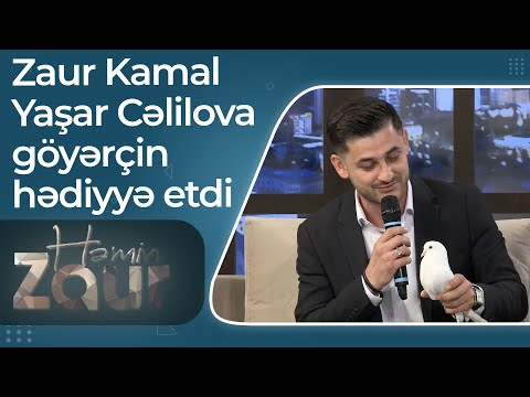 Zaur Kamal canlı efirdə Yaşar Cəlilova göyərçin hədiyyə etdi – Həmin Zaur