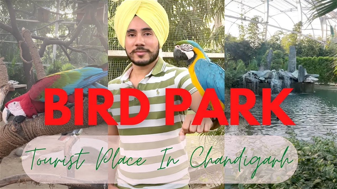 Famous Bird Park Chandigarh | Tourist Place For Family | Macow Birds ...