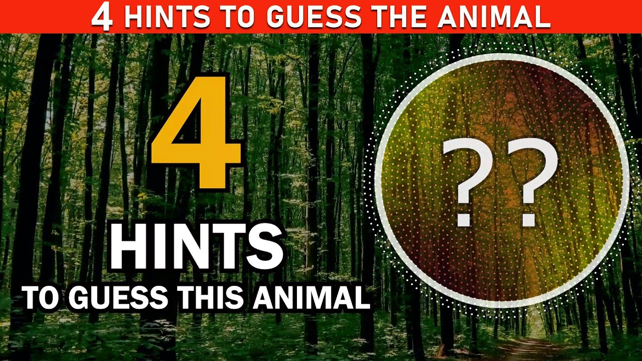 Guess the Animal Challenge | What Am I with Tricky Riddles | English ...