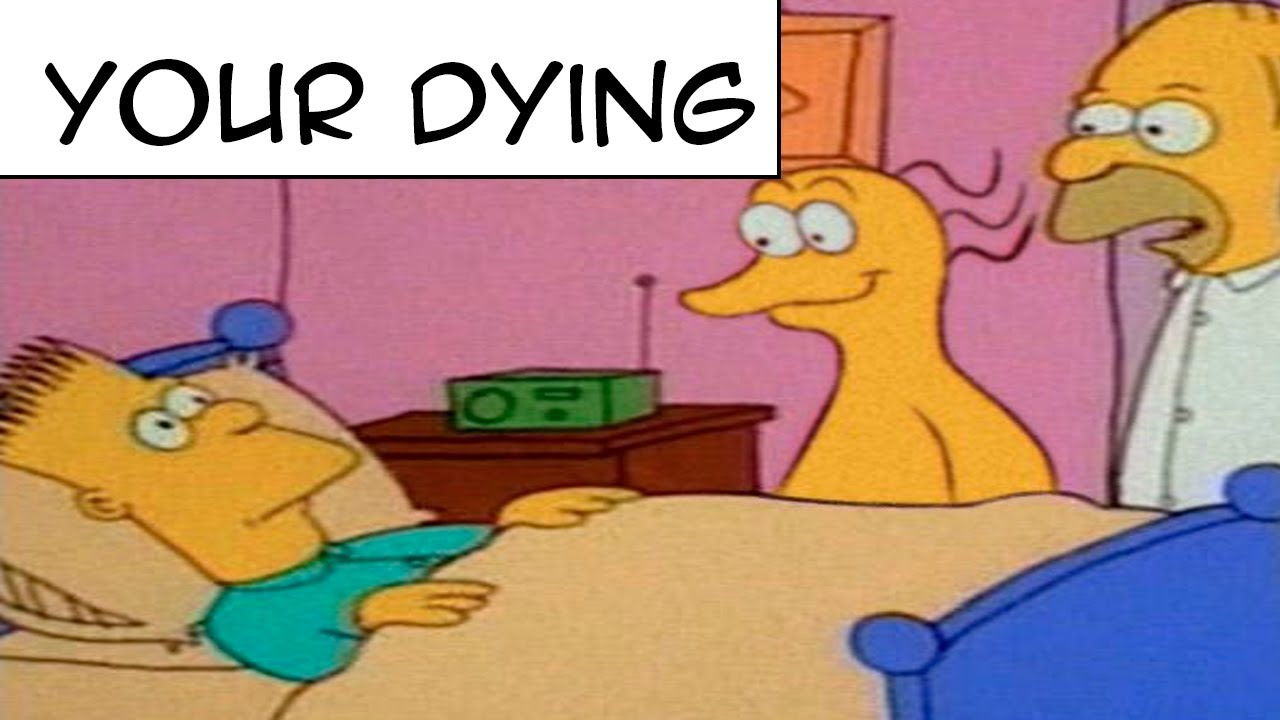 Graggle Simpson in a Nutshell - YouTube