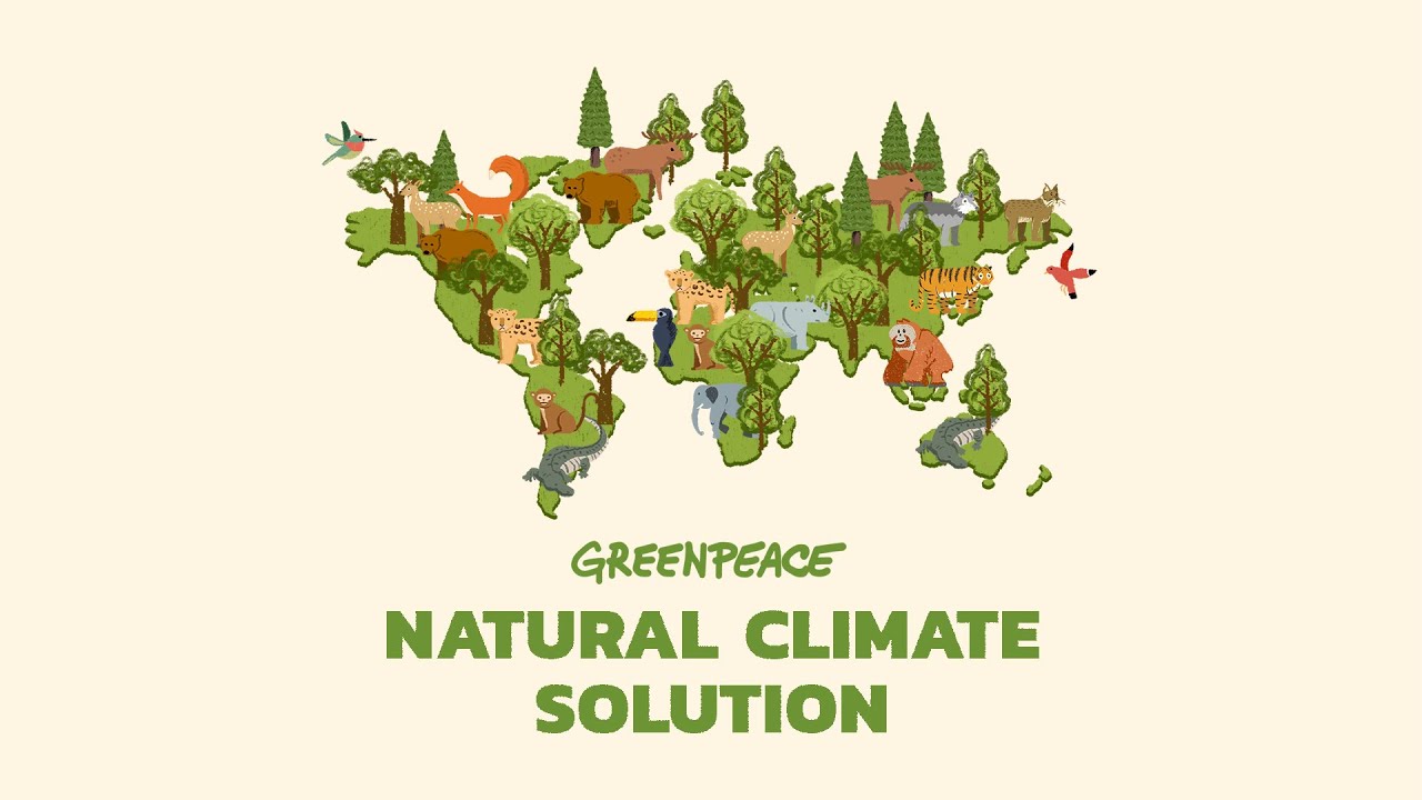 Greenpeace – Natural Climate Solution - YouTube