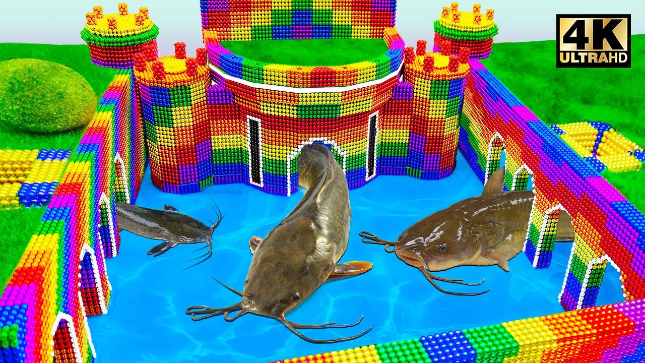 ASMR Building Modern Catfish Eel Habitat with Grass Roof and Swimming ...