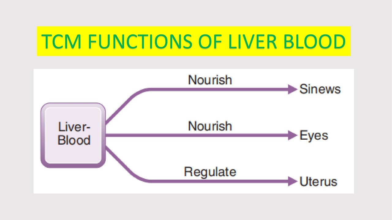 TCM FUNCTIONS OF LIVER BLOOD - YouTube
