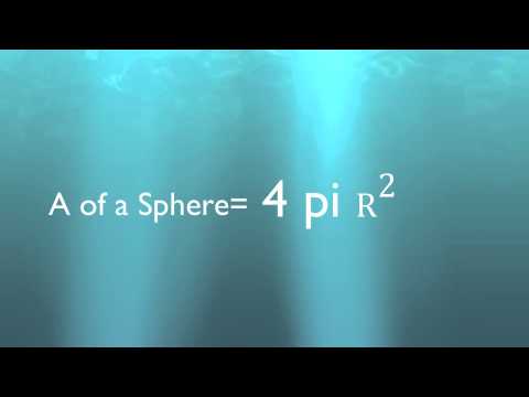 Surface Area Song.mov - YouTube