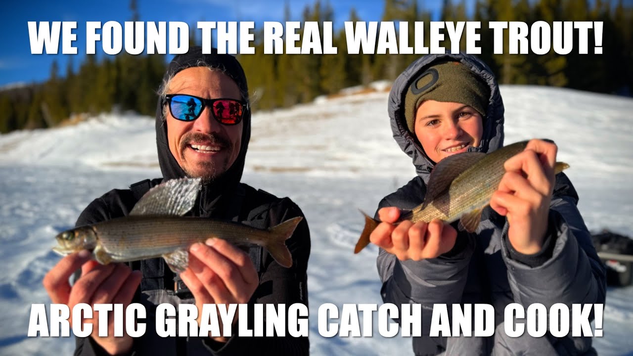 WE FOUND THEM! Arctic Grayling Catch and Cook in Colorado! - YouTube