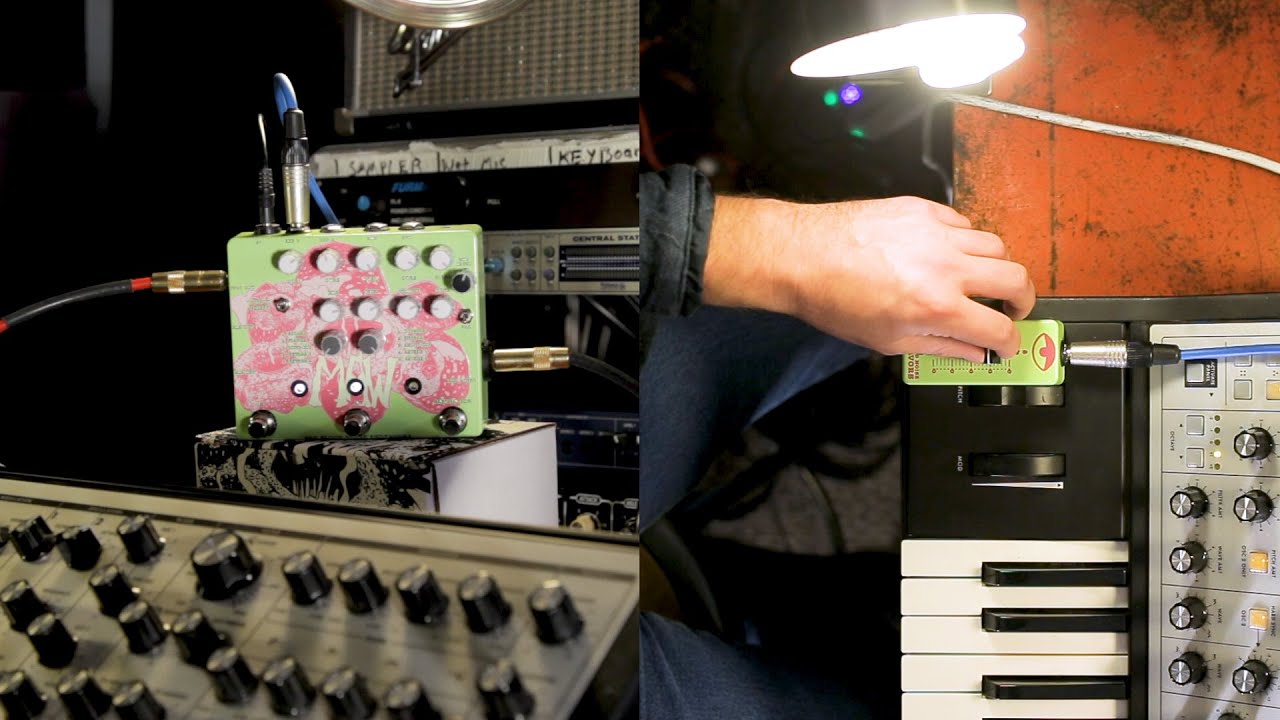 MAW + Synth - YouTube