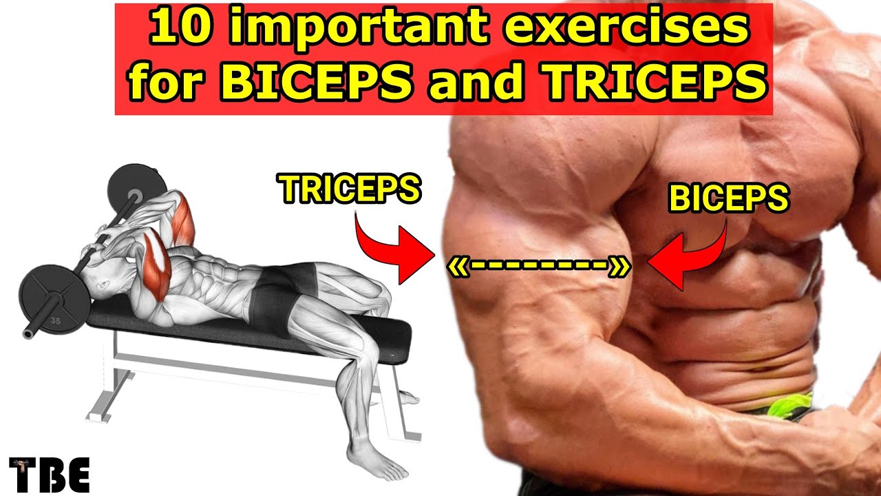 10 BEST EXERCISES BICEPS AND TRICEPS WORKOUT | Get bigger arms fast ...