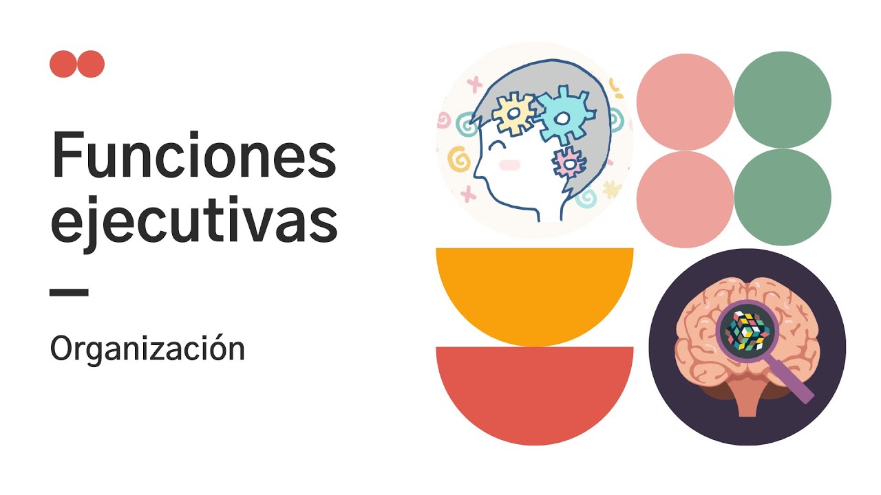 Que es la Organización-FUNCIONES EJECUTIVAS - YouTube