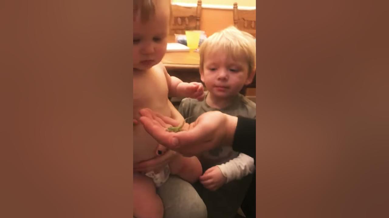 Our 1 Year Old Afraid Of A LIZARD YouTube our-1-year-old-afraid-of-a-lizard-youtube