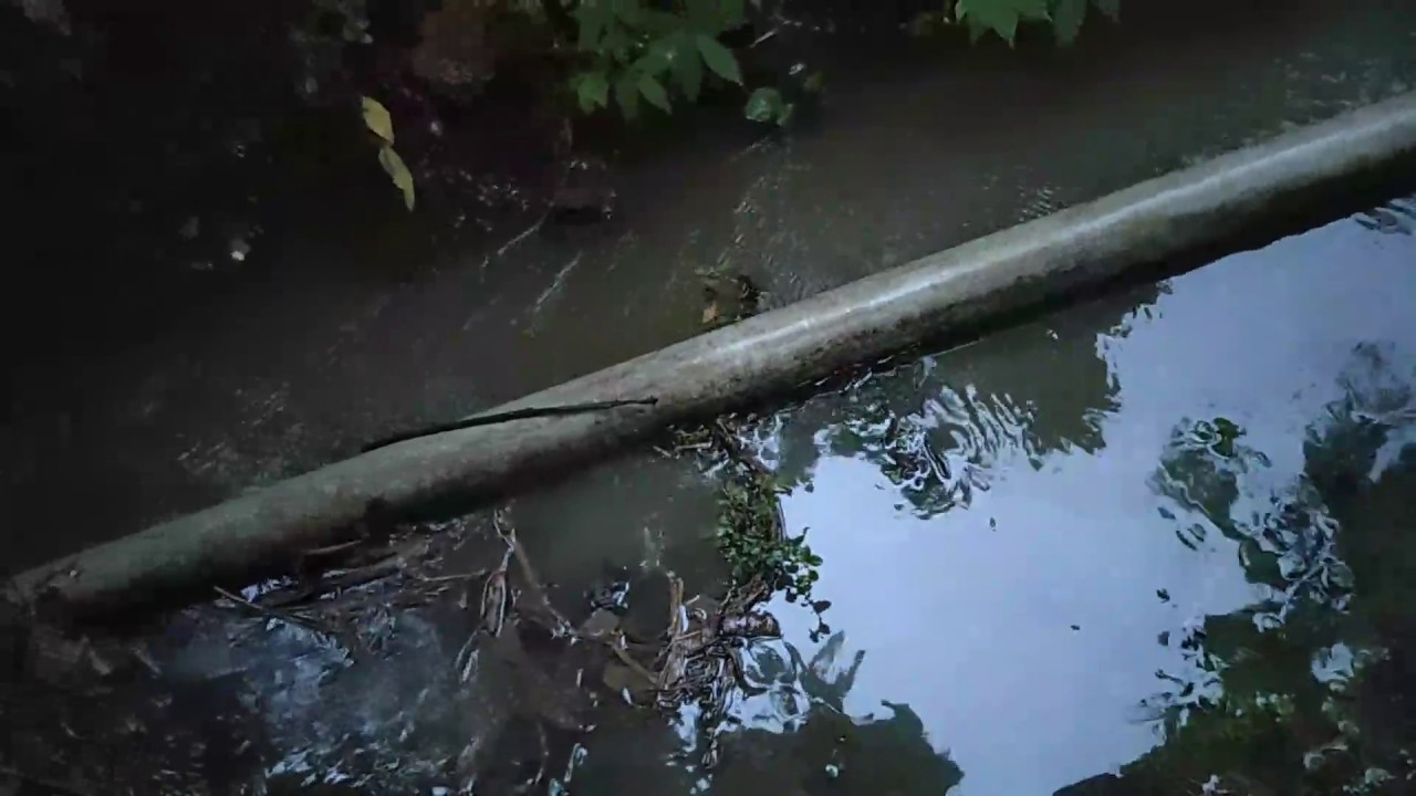 HUJAN TERUS, AKIBATNYA AIR TANAH TUMPAH KE SUMUR - YouTube