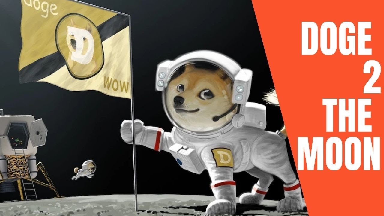 Doge Coin next stop 60 Cents #doge $doge - YouTube