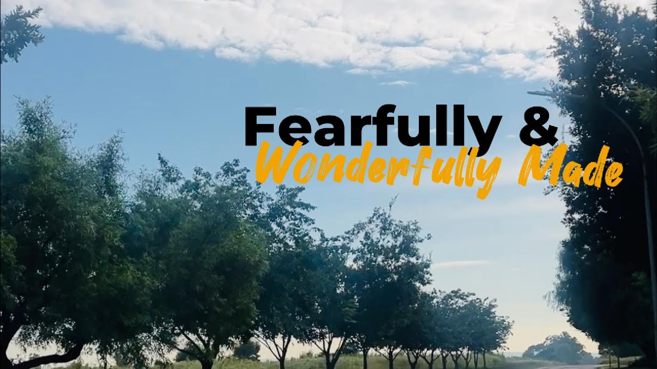Stop Feeling Ordinary: The Truth of being Fearfully and Wonderfully ...