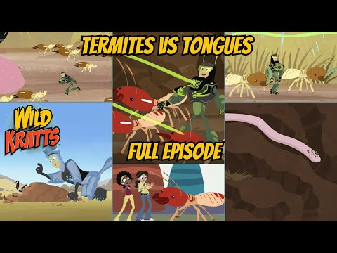 Wild Kratts S02E04 - Termites vs  Tongues (Full Episode); termite, aardwolf, aardvark, bat eared fox
