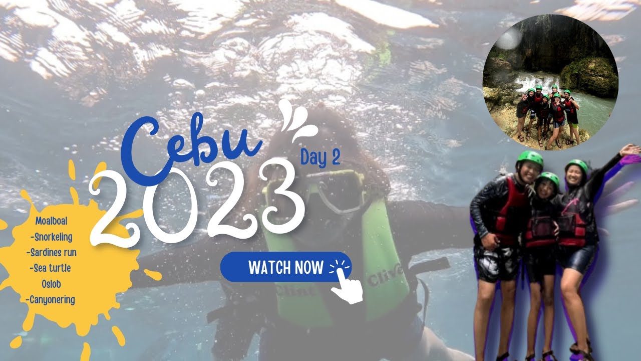 Canyoneering in Cebu | Snorkeling | sardines run | sea turtle encounter ...