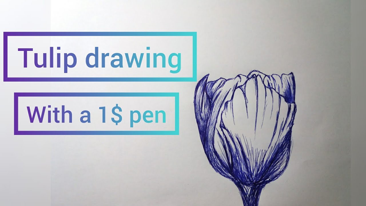 Tulip drawing with 1$ pen - YouTube
