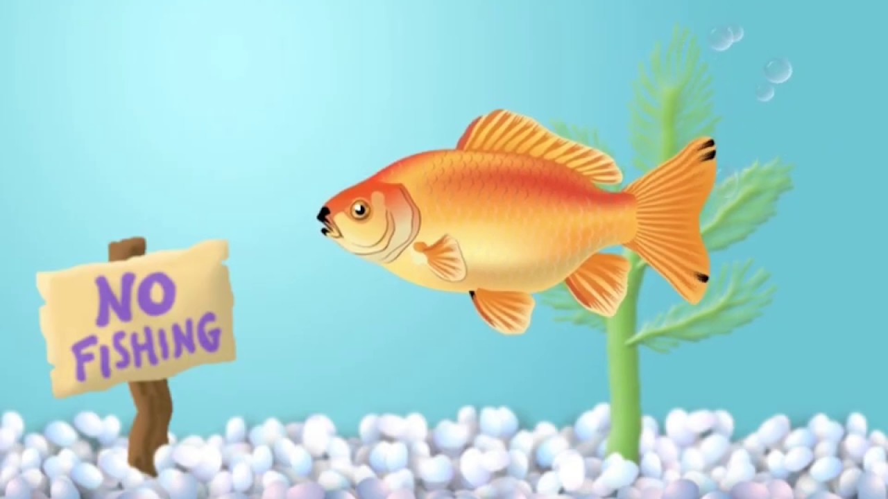 CURSING FISH in HD! - YouTube