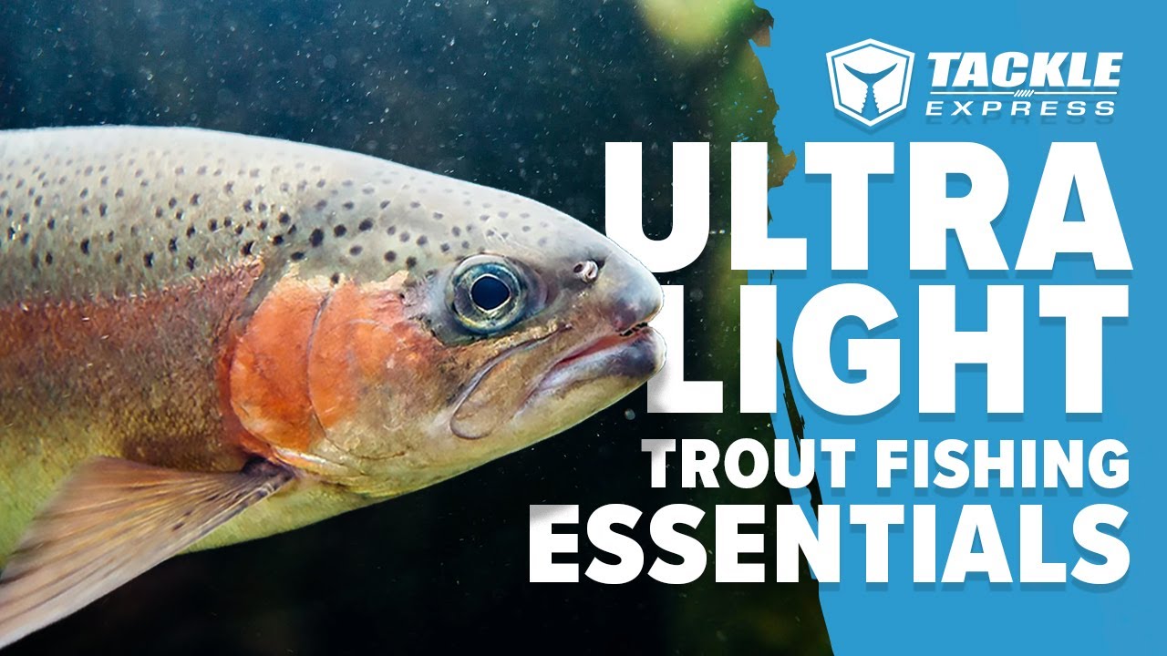 ULTRALIGHT TROUT FISHING ESSENTIALS with Tackle Express - YouTube
