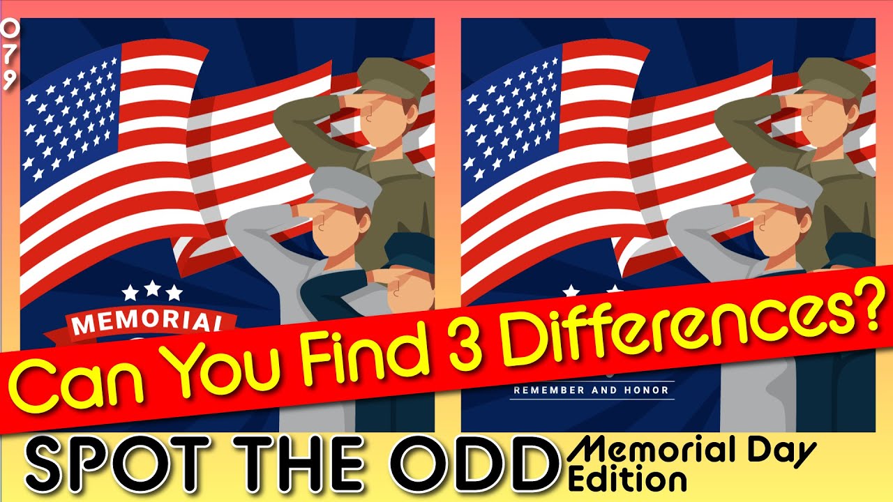Brain break - Memorial Day | Game 79 | find 3 differences | How good ...