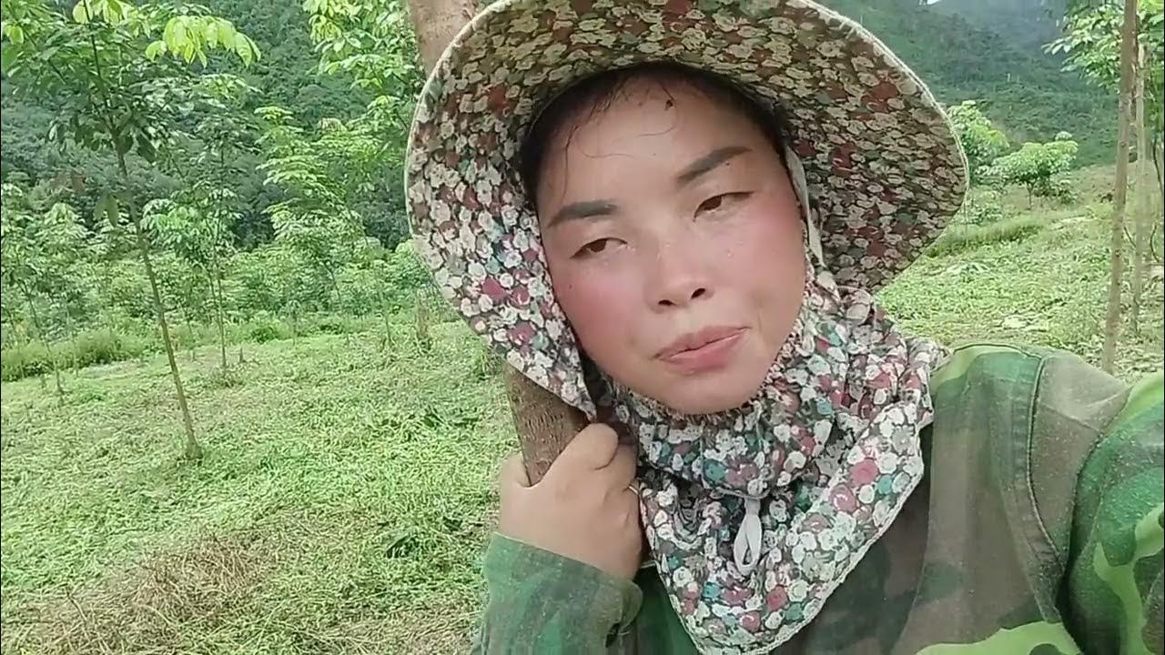 Hnub no wb ob nam txiv tuaj lauj teb ntoo yas sab tiag² li os. 18/7/2024 - YouTube