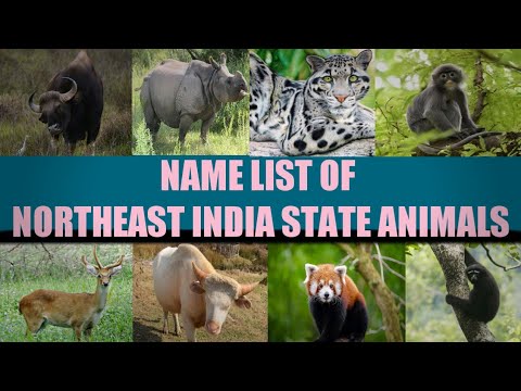 Name List of Northeast India State Animals, State Animals of Northeast ...