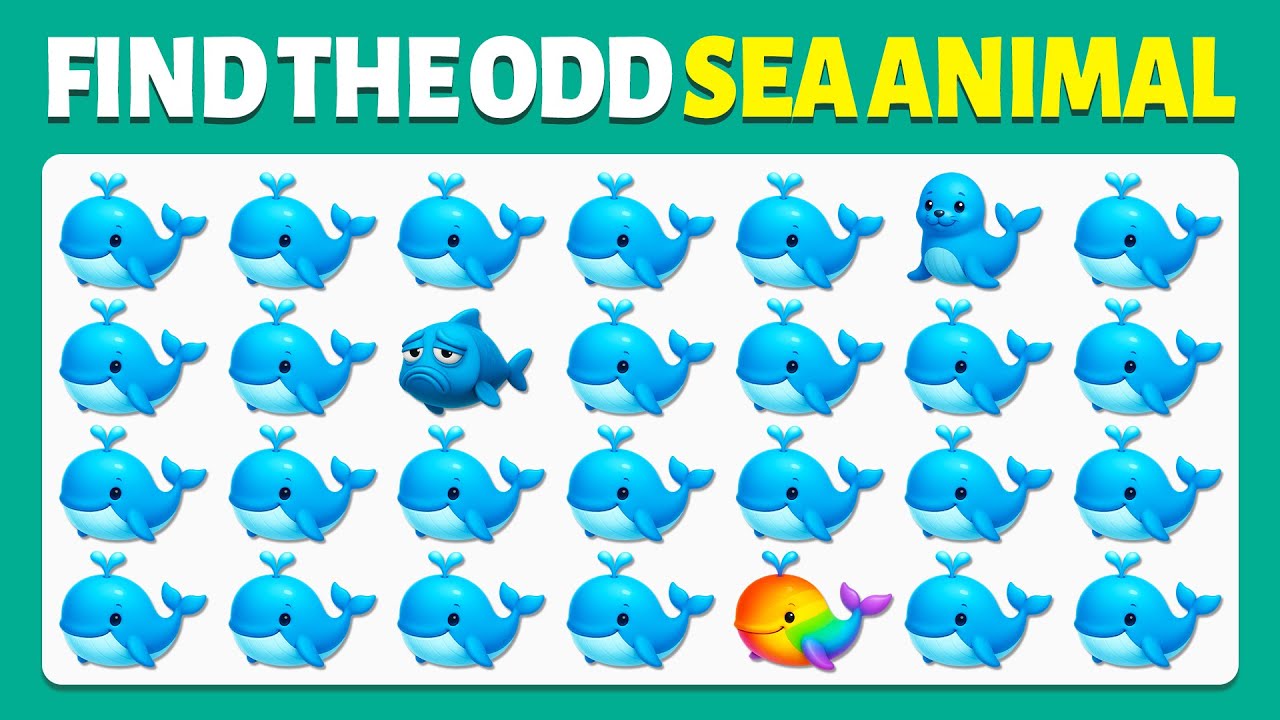 Find The Odd One Out - Sea Animal Edition 🐳🐬🐳 | Easy, Medium, Hard - 40 ...